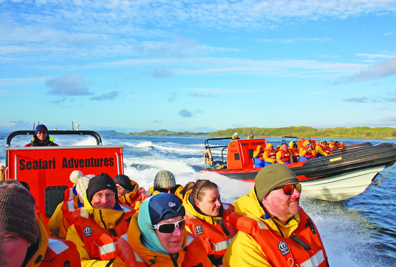 Seafari Adventures (Oban) Ltd | Wild About Argyll